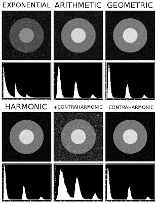 CINDY 186: Activity 18 | Noise Models and Basic Image Restoration