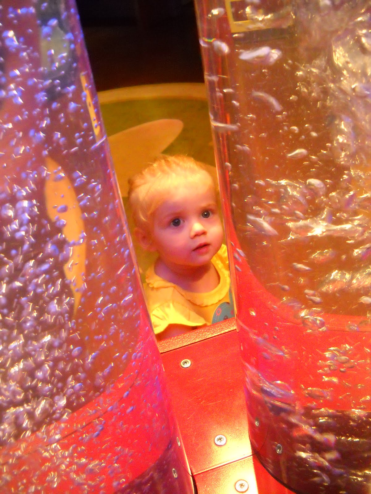 My Pixie Morgan: Fort Worth Children's Museum