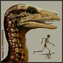 Chasing The Raptor: Death in Montana