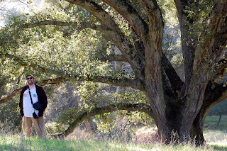 International Tree Society