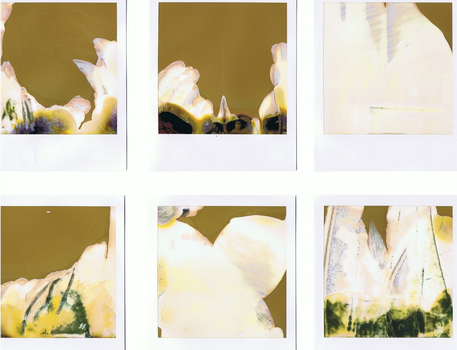 House of a Whaling Man: Polaroid Paintings