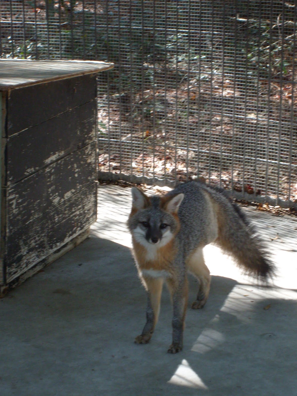 Brookgreen Gardens, Lowcountry Zoo, and Center for American Sculpture ...