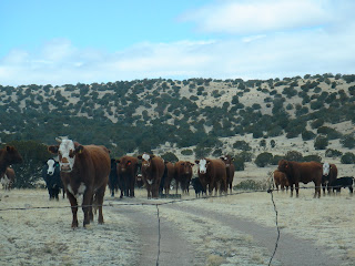 The Knife Wife: Magdalena Ranch