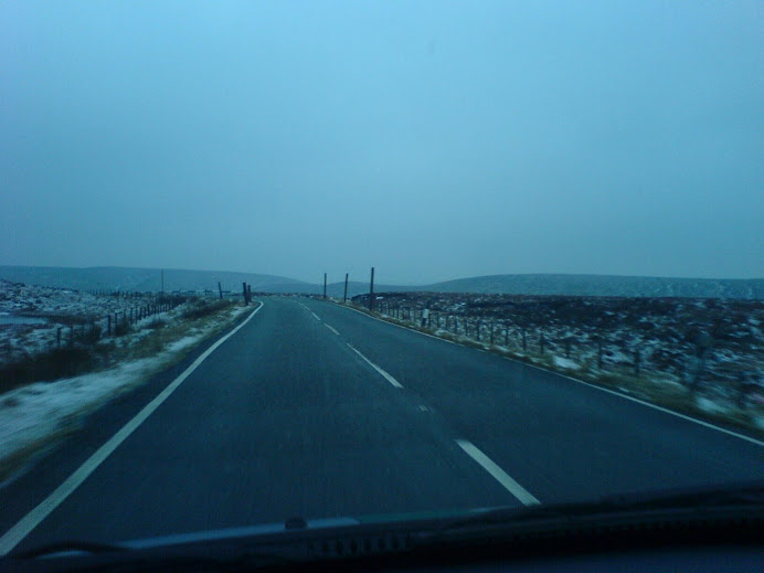 Go Green Driving School