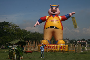 Crispy, Juicy, Crunchy Lechon on Parade
