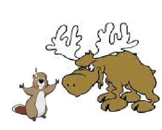 The Johnson Family: Beavers, Otters and Moosen