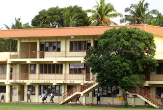 Parramatta Yankee: Tiny but tough.