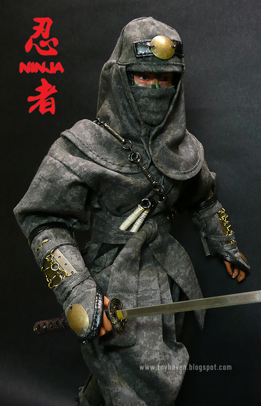 toyhaven: Crazy Owners Camouflage Ninja REVIEW II