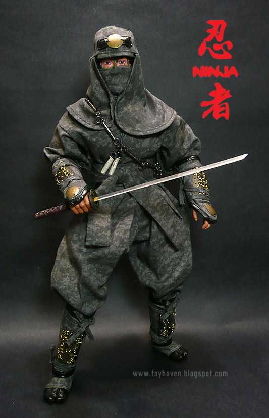 toyhaven: Crazy Owners Camouflage Ninja REVIEW II