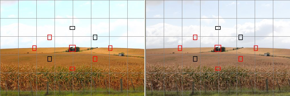 Canon Standard Picture Style and Extended Picture Style | PhotoTale