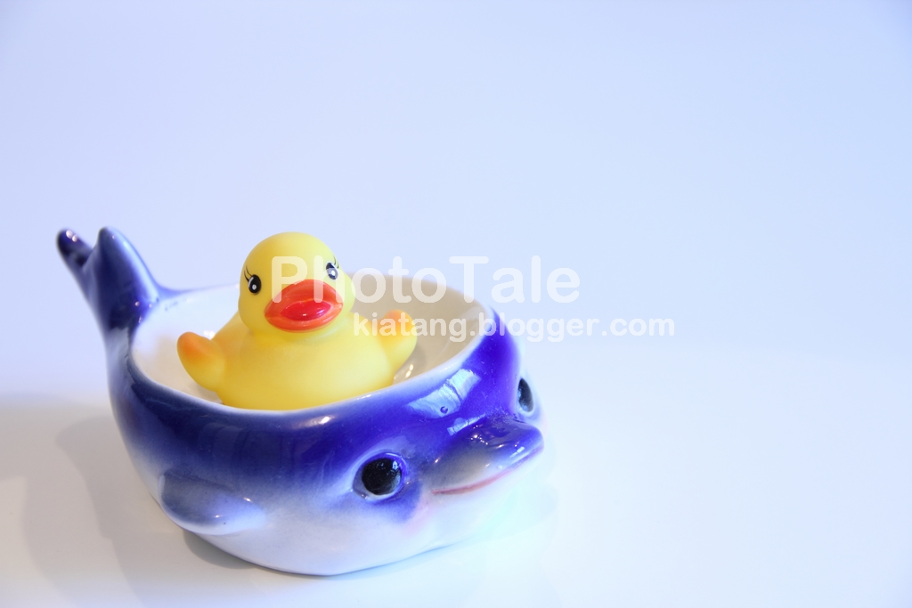 Rubber Duck Picture Story - Beginning of Ducky | PhotoTale