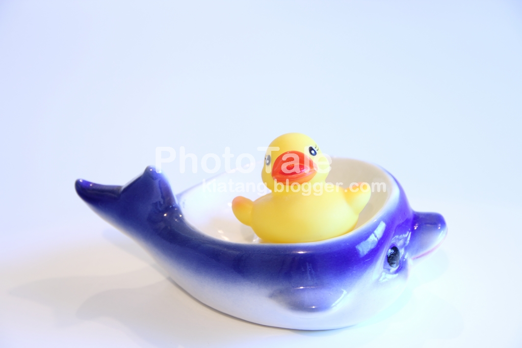 Rubber Duck Picture Story - Beginning of Ducky | PhotoTale