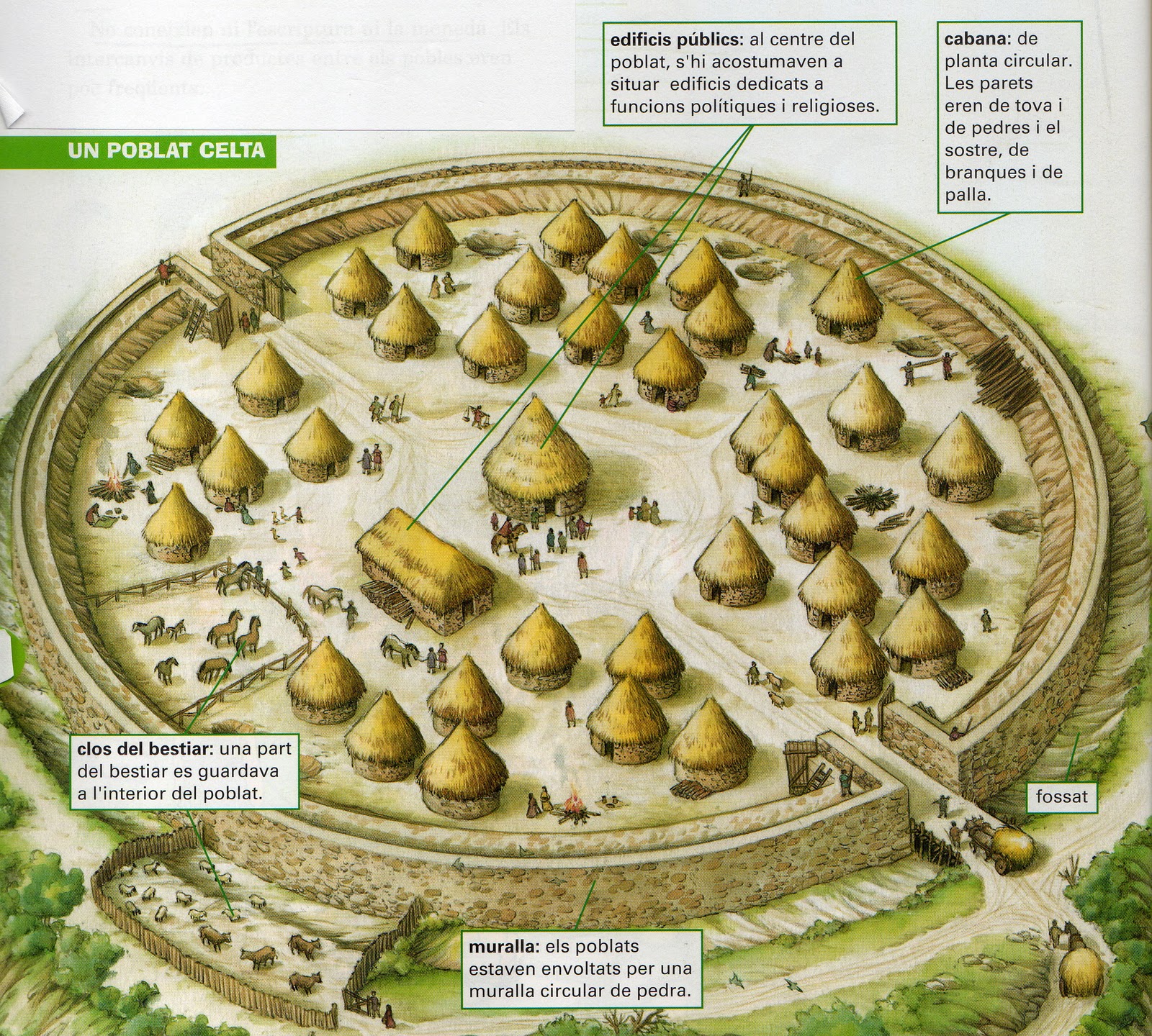 Bloc de Medi: Ibers, celtes, fenicis i cartaginesos.