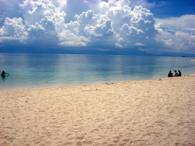 Badianganon Heritage: "Badiang Herbal Plant"-The Legend