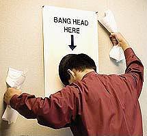 Kimberly Shell: (HEAD BANG!)