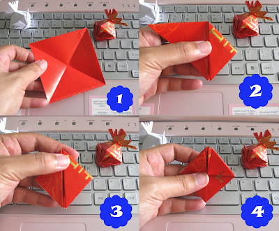 CoCo Thinking Out Loud...: Ang Pao Goldfish