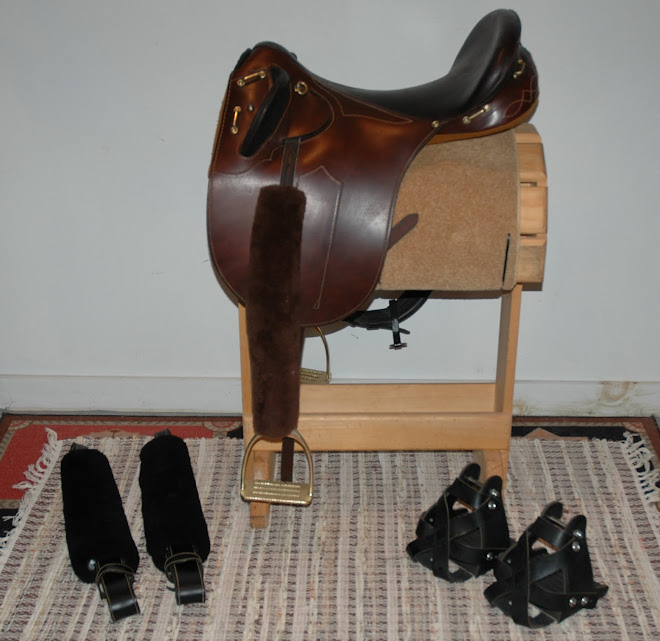 Books & Tack-in-a-Blog: 2007 John Fallis Balanced Ride Endurance Saddle