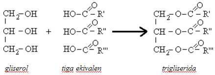 e-Phar Purple: Trigliserida