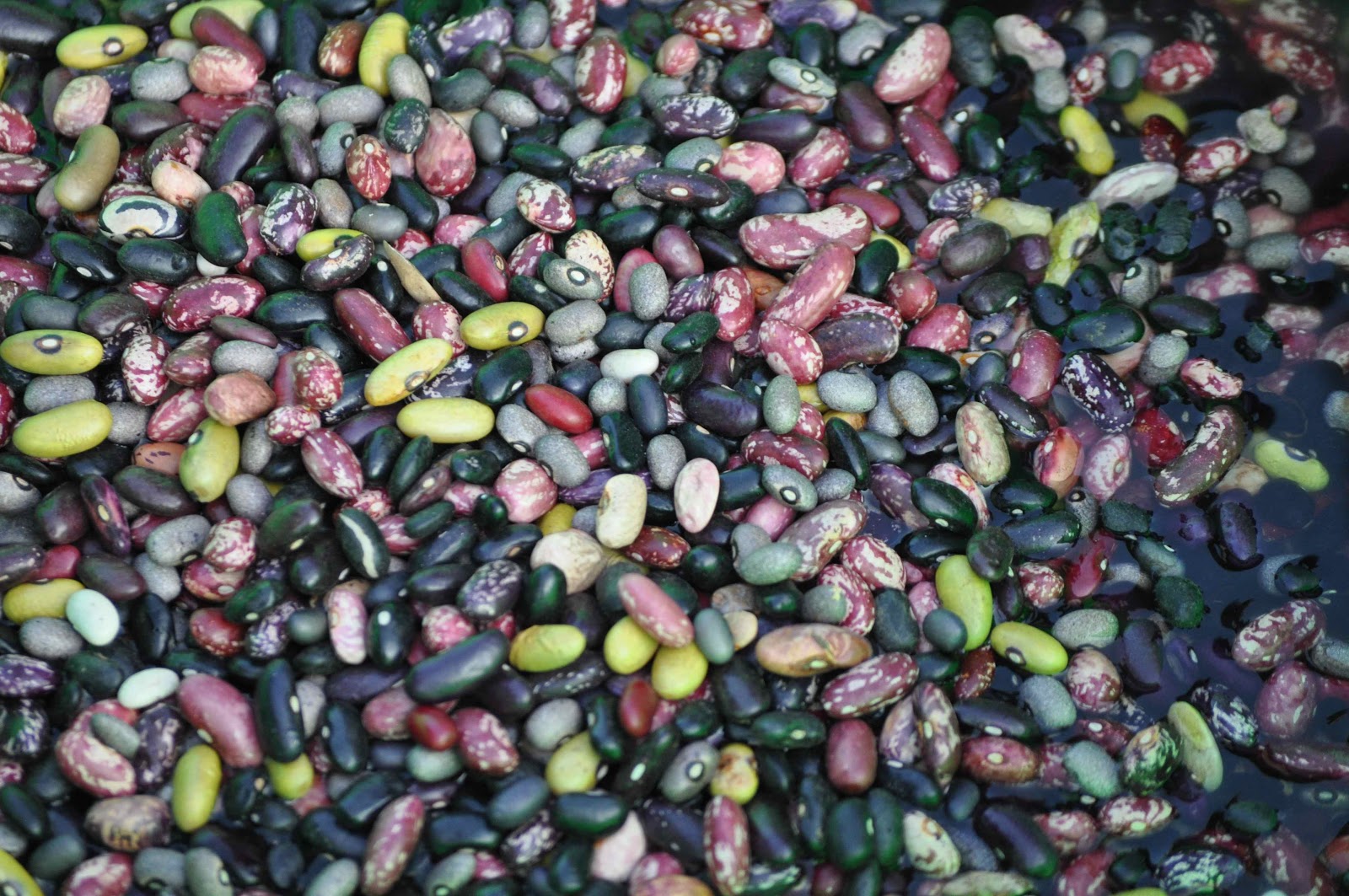 A Fresh Thinker: Uganda Wishes - Bwera Celebrates