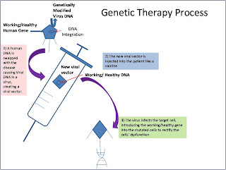 Gene doping: total process