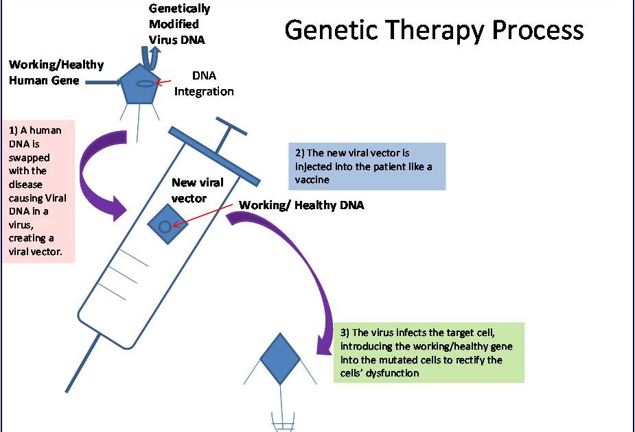Gene doping: total process