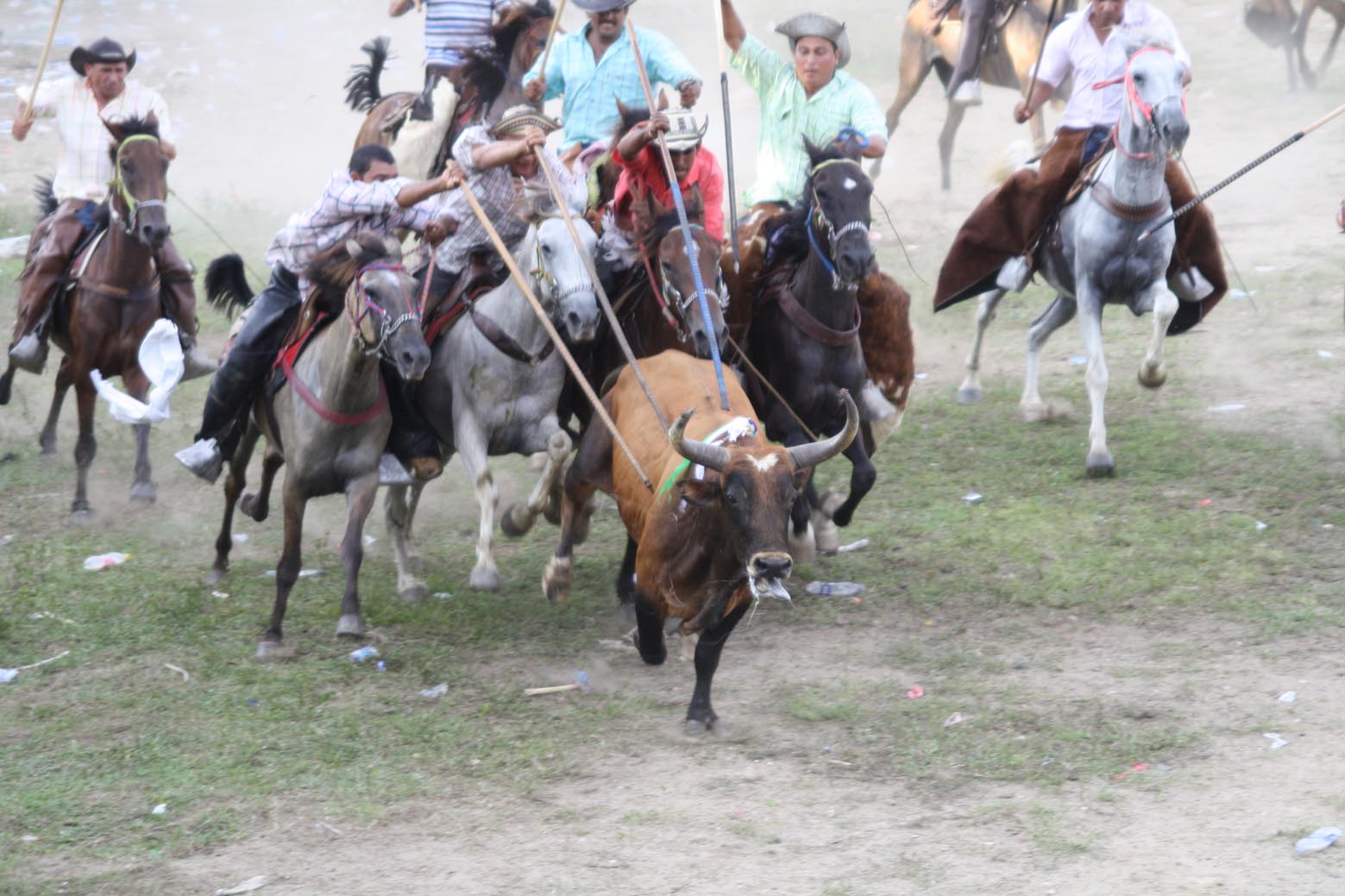 Corralejas de Sincé: Fotos de las actuales Corralejas