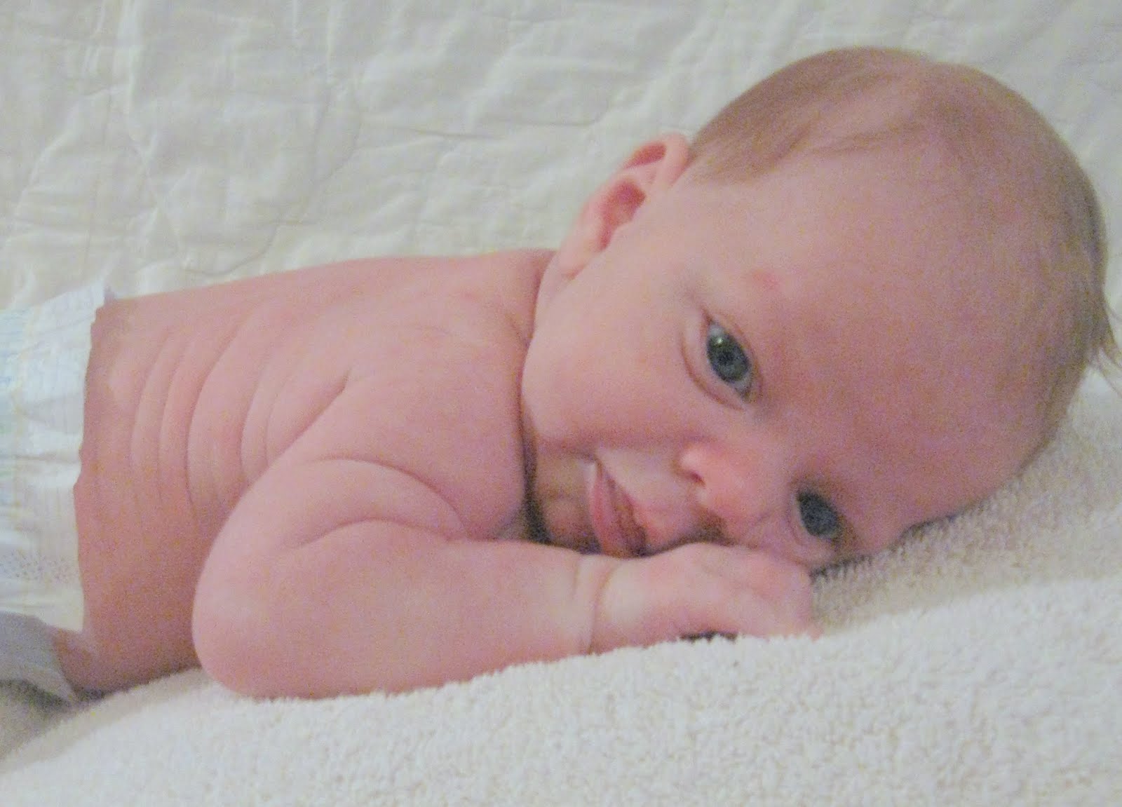 Lose 20 Pounds In 10 Weeks: Happy Thursday...He's Five Weeks Old Today