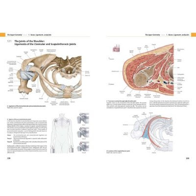 I goda händer - en blogg om osteopati och studier: Optimal anatomisk atlas