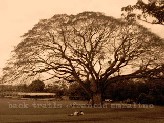 Back Trails: U.P. Los Baños: Places and Events