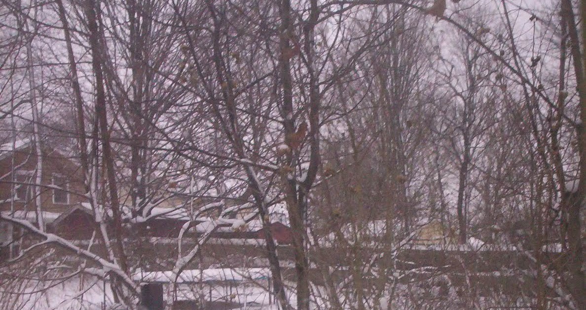 Exfanding Your Horizons: Why Hate Snow?