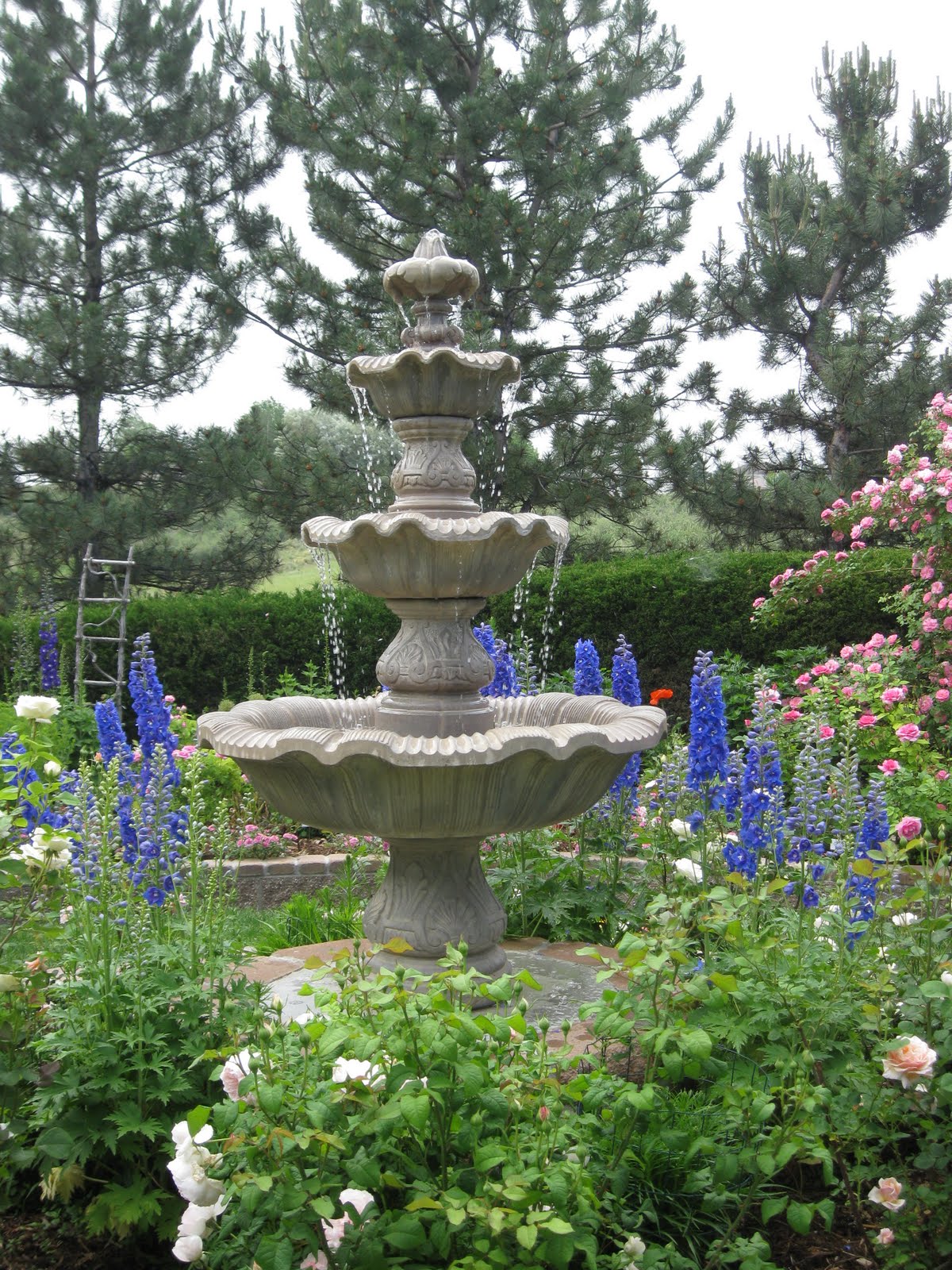 Kent and Rolayne: Rose Garden