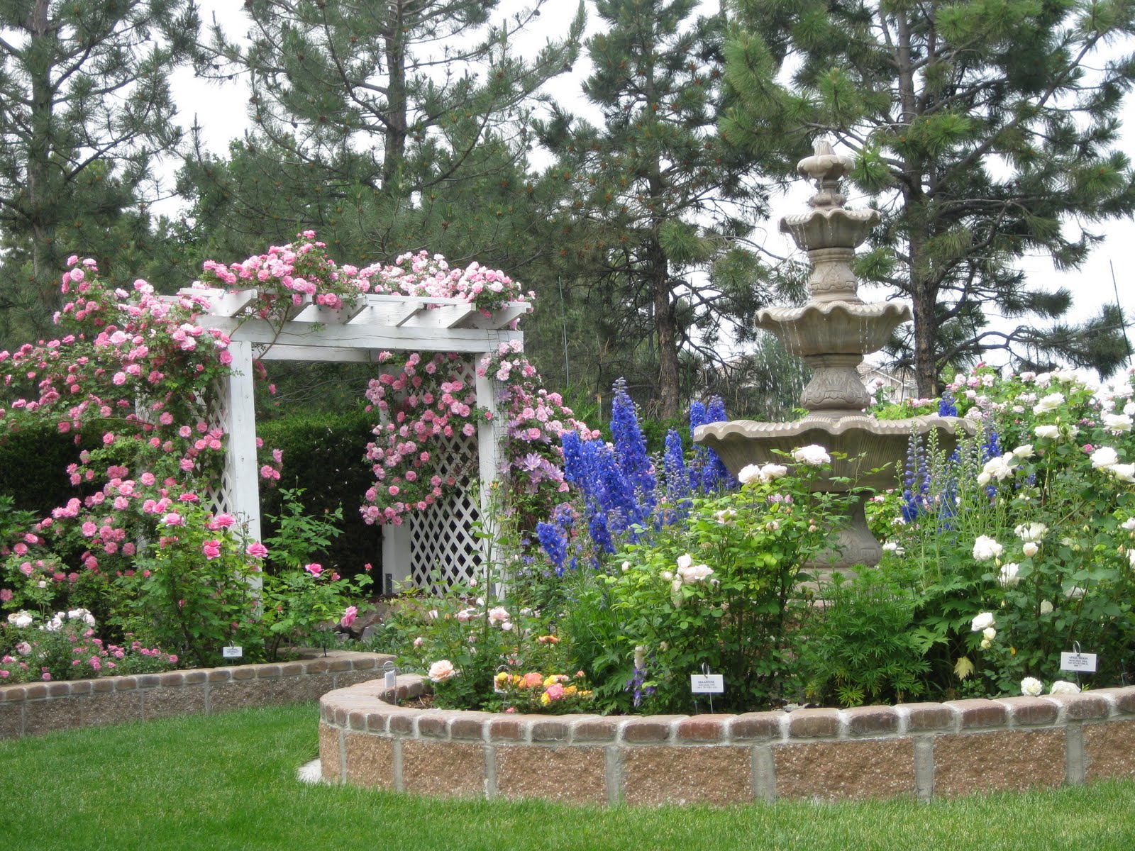 Kent and Rolayne: Rose Garden