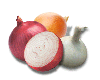 Natura: Ceapa,usturoi si prazul