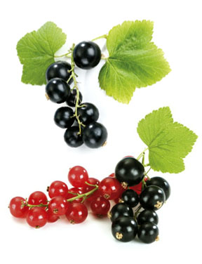 Natura: FRUCTE DE PADURE