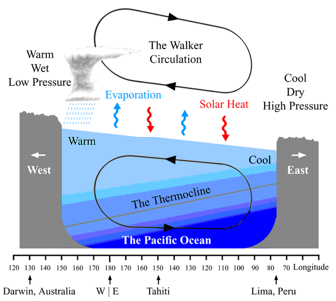 El Nino Southern Oscillation, ENSO