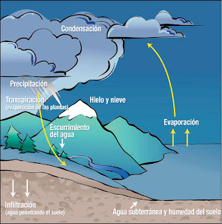 abdnour: Ciencias Naturales: La Hidrosfera