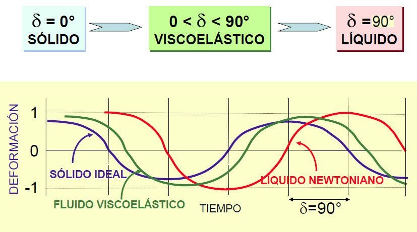 Avibert: Viscoelasticidad y Estructura Textura y Reología por Dra. Mª ...