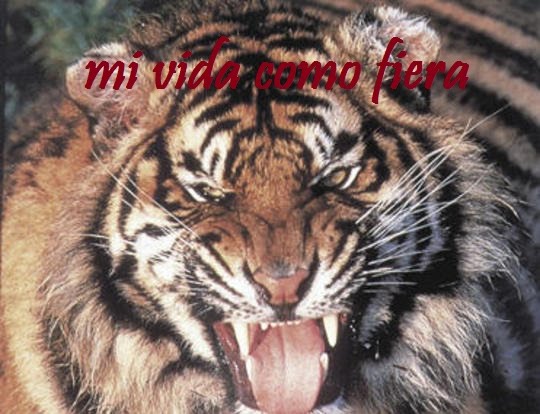 Mi vida como fiera
