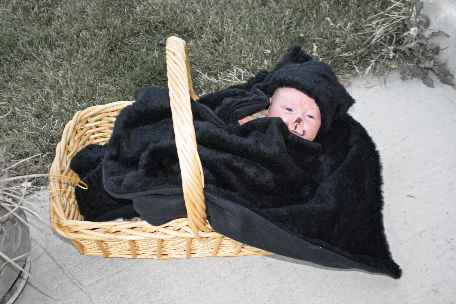 auds & ends: toto baby "costume"