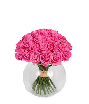Fresh Flowers Delivery Wedding Flowers Decoration: Fresh Pink Roses Flowers