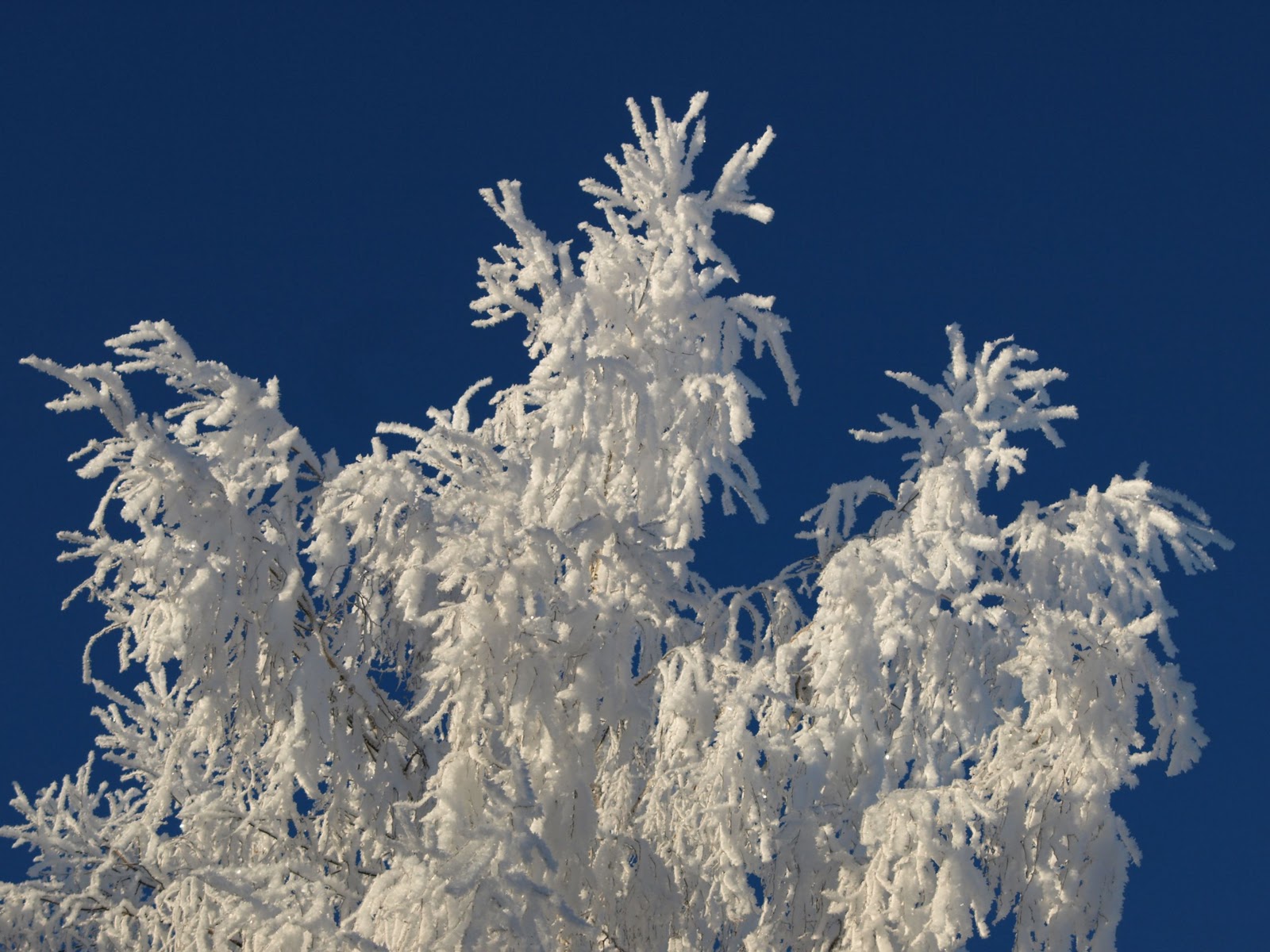 lihtsalt niisama: talv