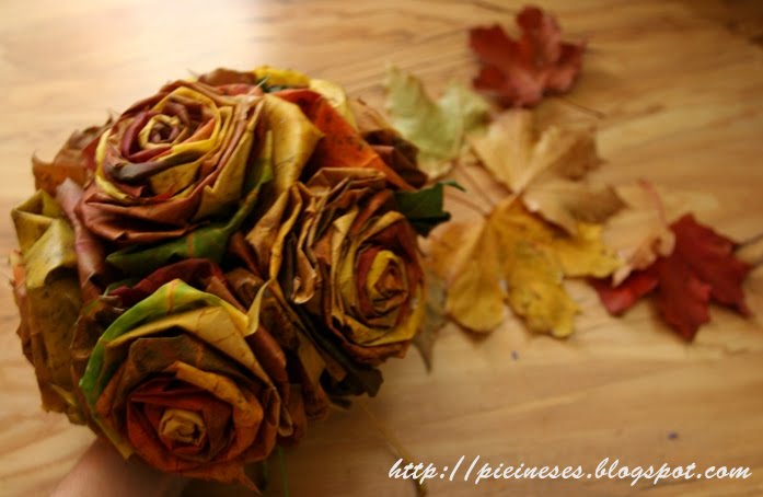 Pie Ineses: Rozes skaita rudenī...