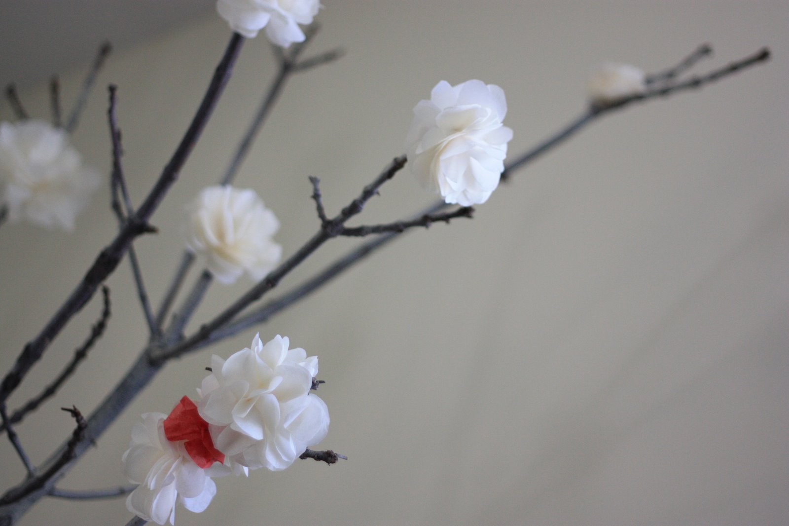 The Frosting on the Cake: The Wedding and the Wall