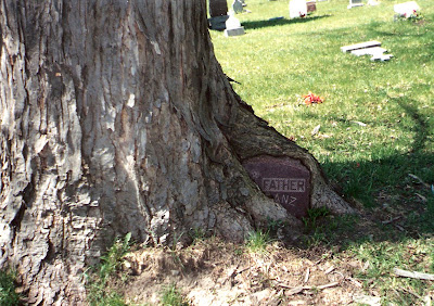 The River Otter: Evergreen/ Glen Oaks Cemetery