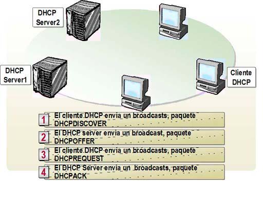 Instalación y Configuración de Servicios DHCP, DNS y WINS