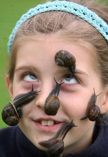 Everything But Nothing: Snails. On face. UGH.