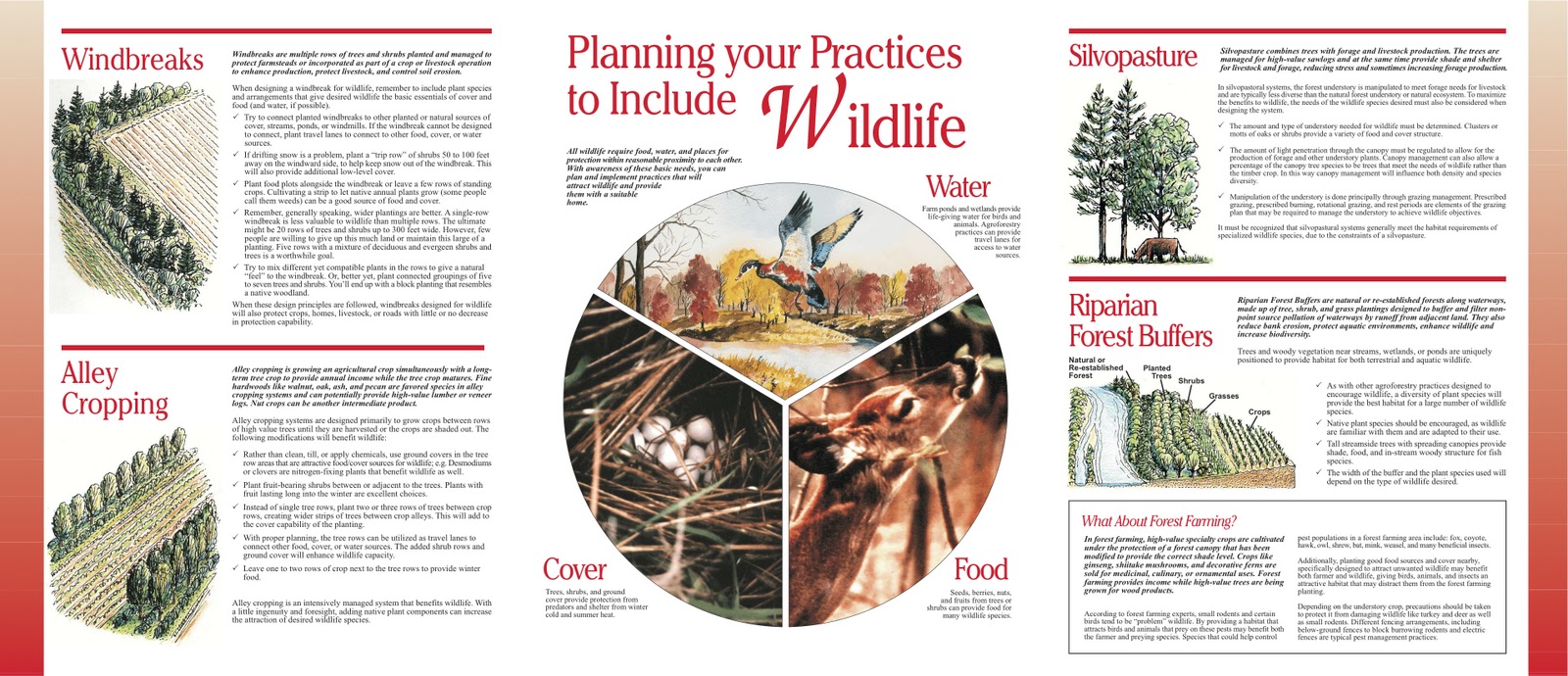 MMU Landscape Architecture: Planning for Wildlife