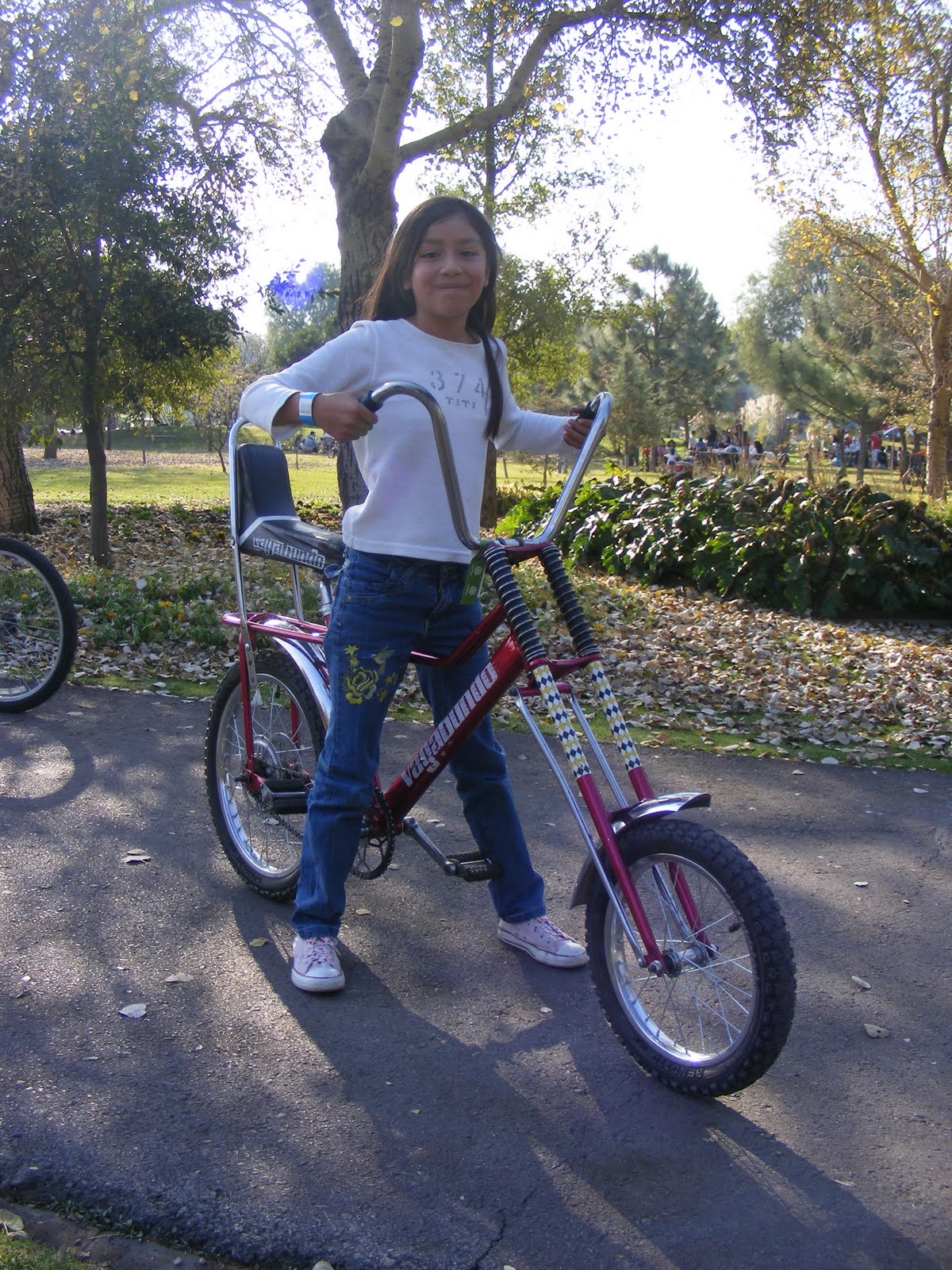 Bicis vagabundo - Imagui