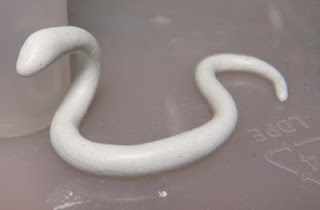 Lizard Putty: Tetto'Eko