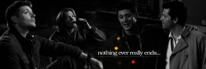 All Things Supernatural: s.8 destiel canon